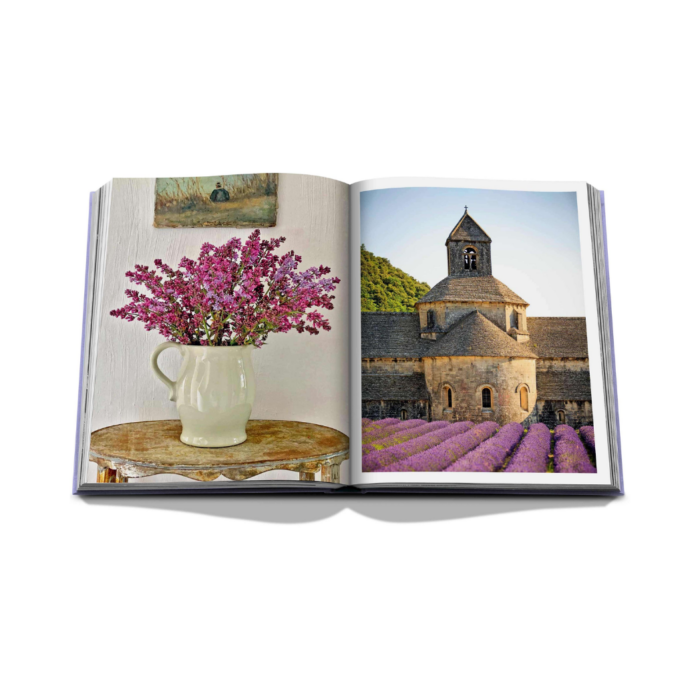 Livre PROVENCE GLORY – LA TRIBU DAKAR